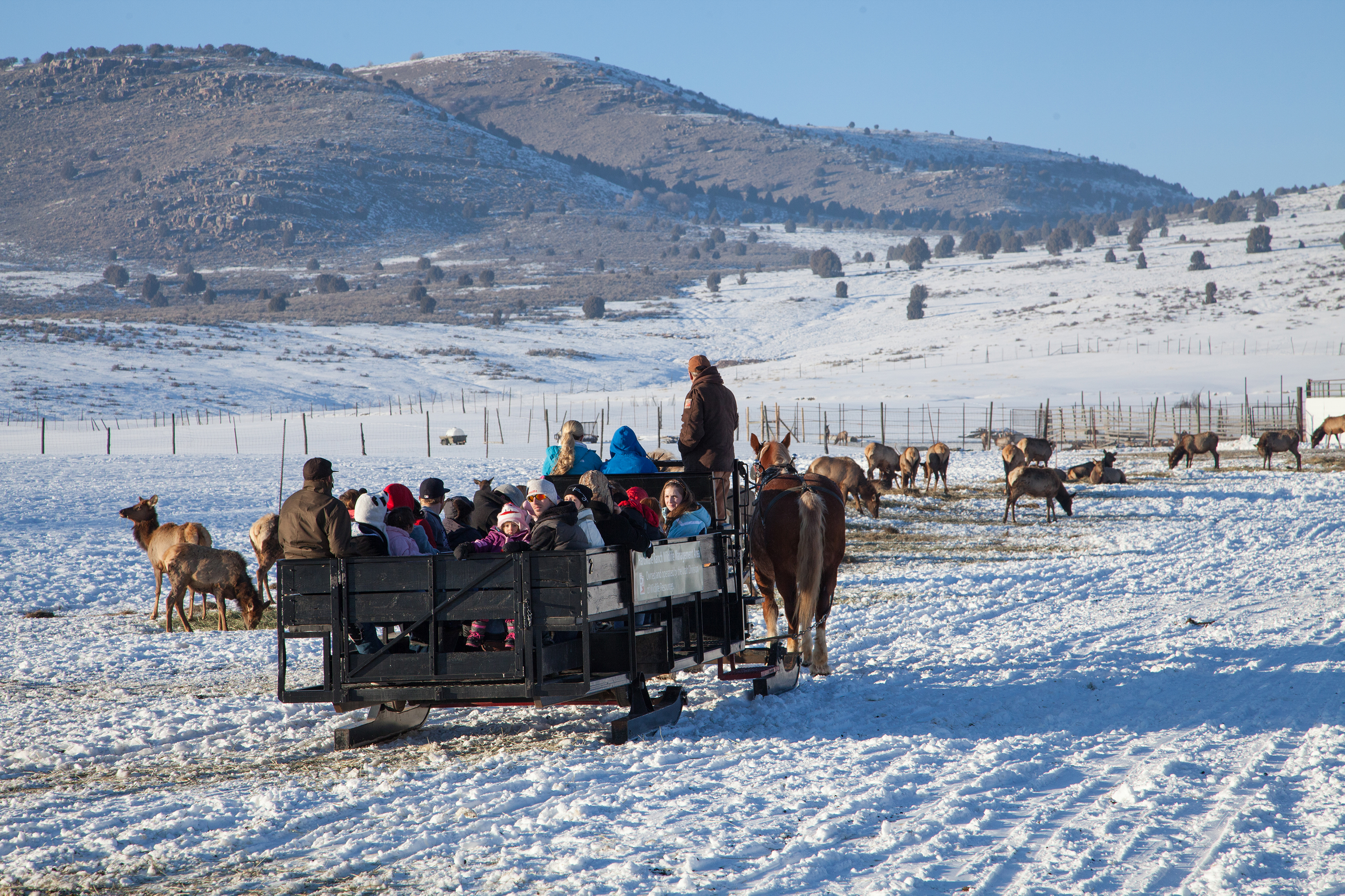 Cache Valley | Visit Utah