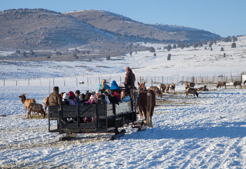 Cache Valley | Visit Utah