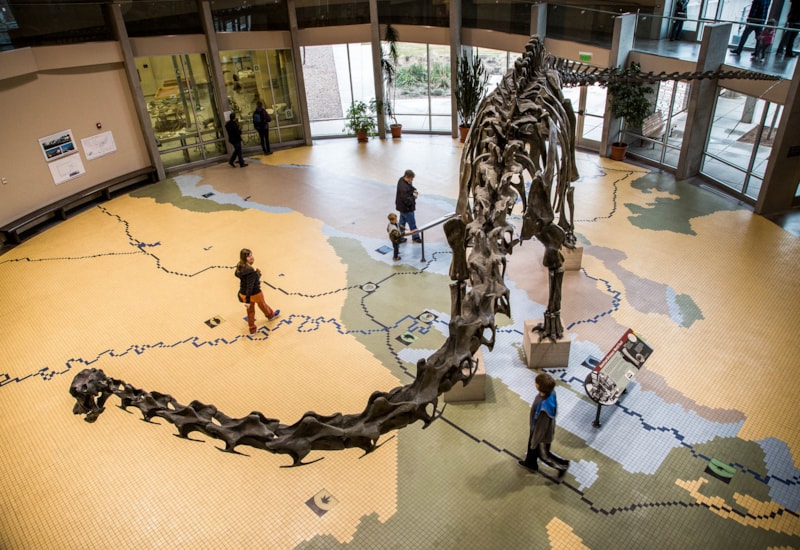 Vernal, Utah | Things to Do, Family Activities and Hotels | Visit Utah