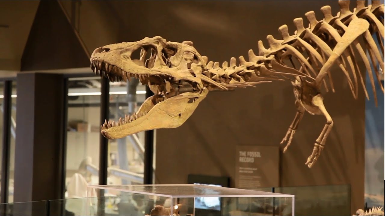 Dinosaur Museums, Parks & Exhibits | Visit Utah