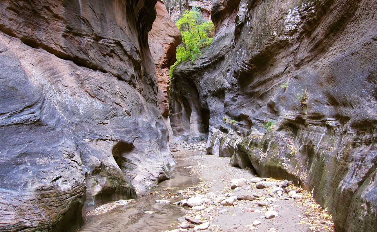 Orderville Canyon | Outdoor Experiences | Strenuous | Visit Utah