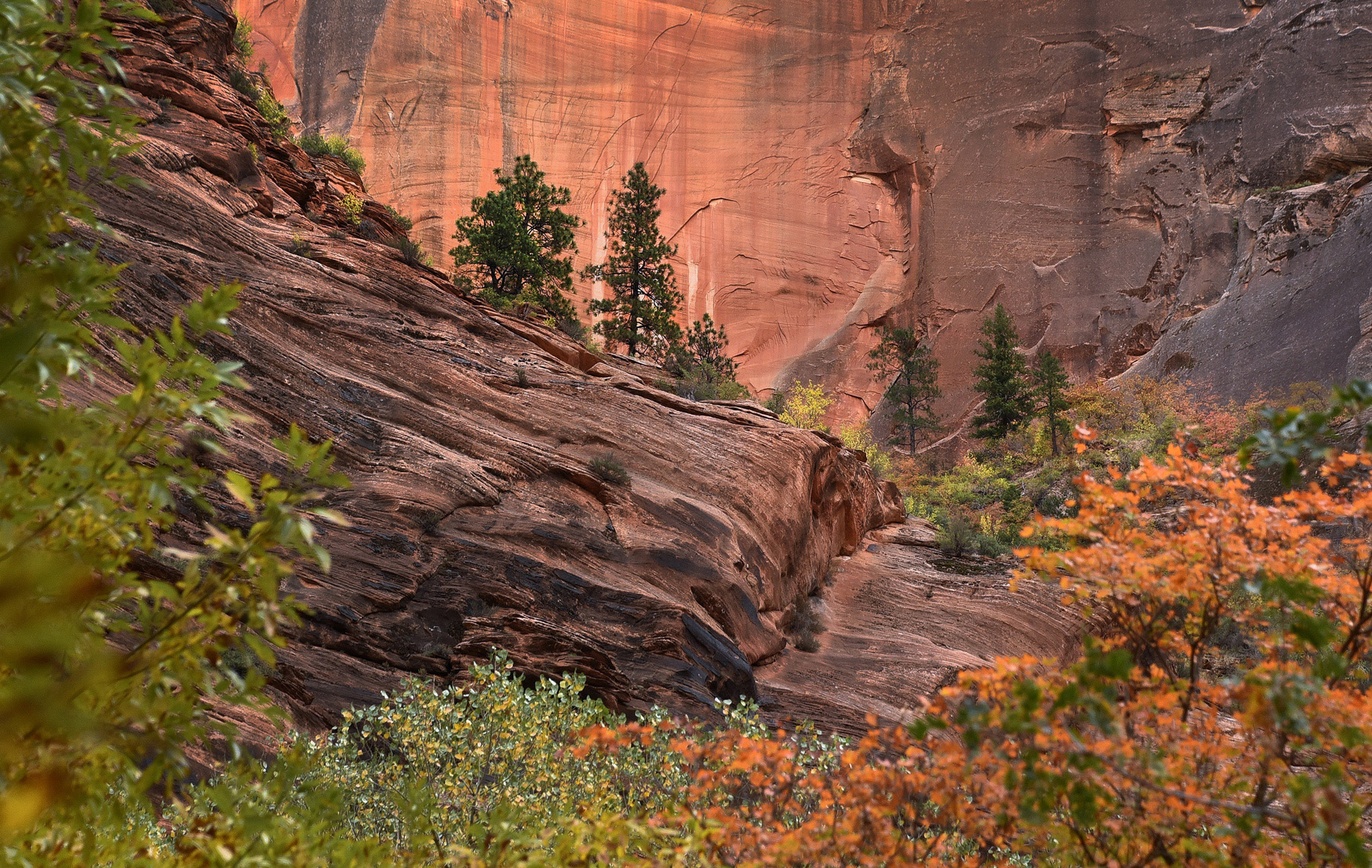 Zion Hidden Canyon | Outdoor Experiences | Visit Utah