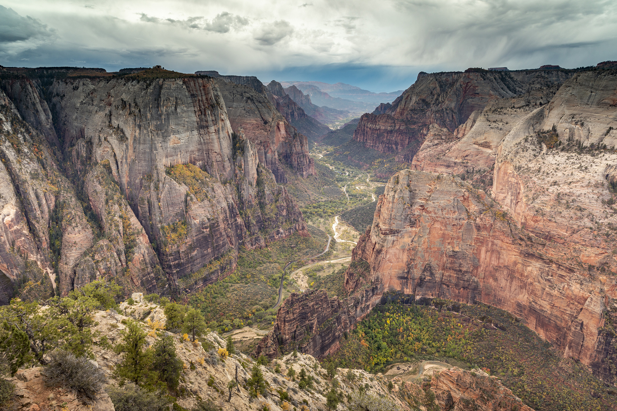 Zion Observation Point | Outdoor Experiences | Strenuous | Visit Utah