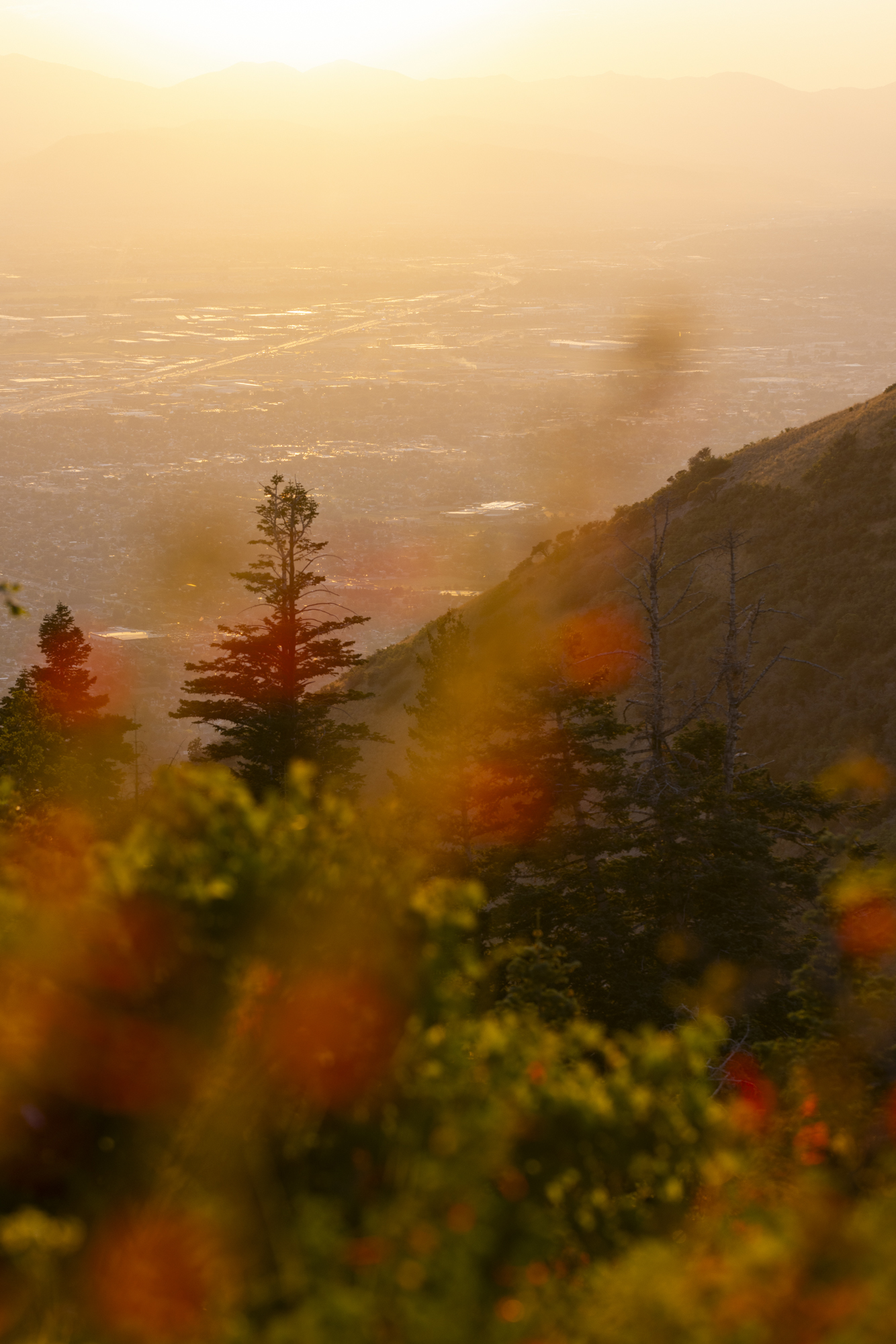 Mount Timpanogos [Summit, Camping, Info] | Visit Utah