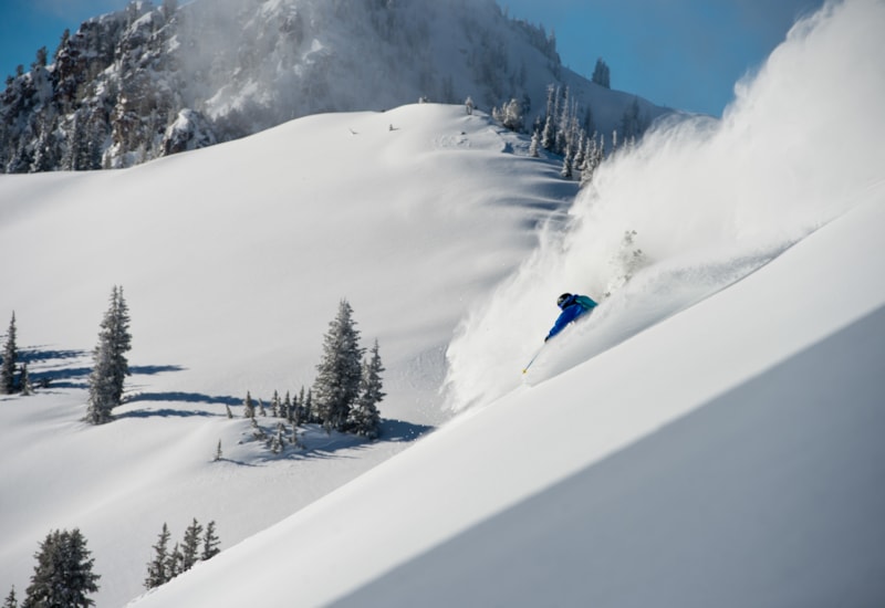 Alta Ski Area [Skiing, Lodging, Maps] | Visit Utah