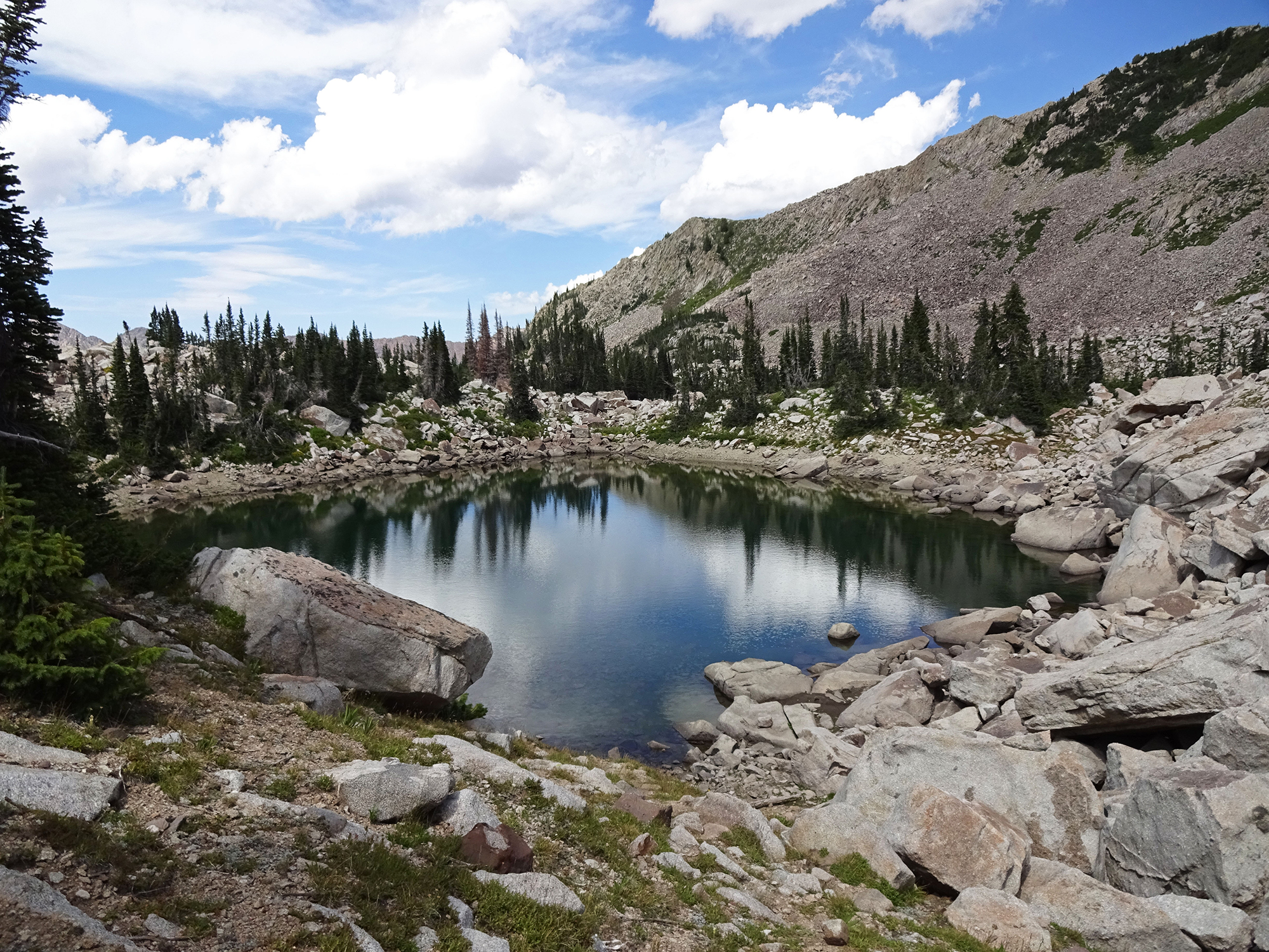 red pine lake