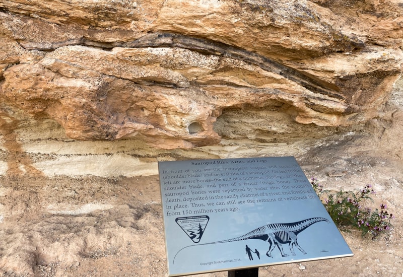 Mill Canyon Dinosaur Trail | Visit Utah