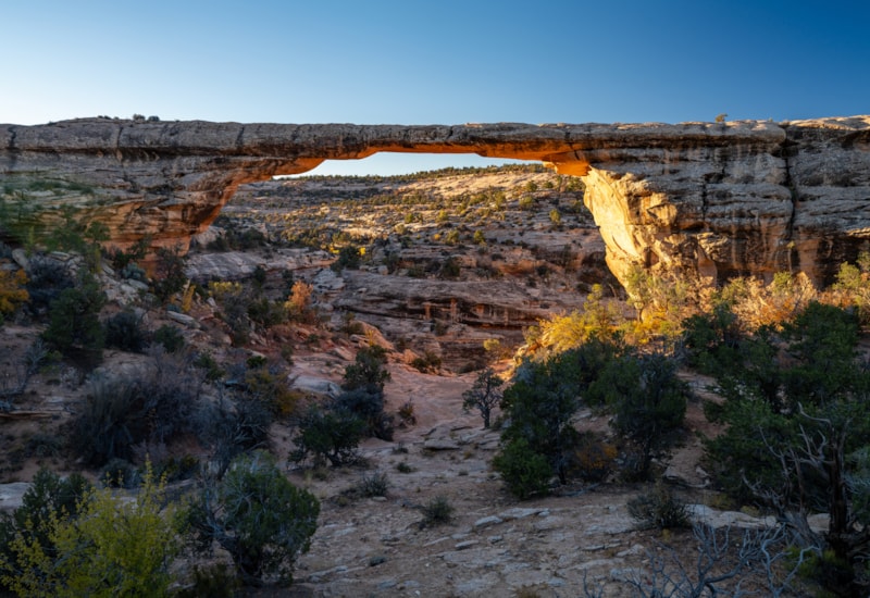 Parque Estatal Natural Bridges Natural Bridges Loop Trail, Including