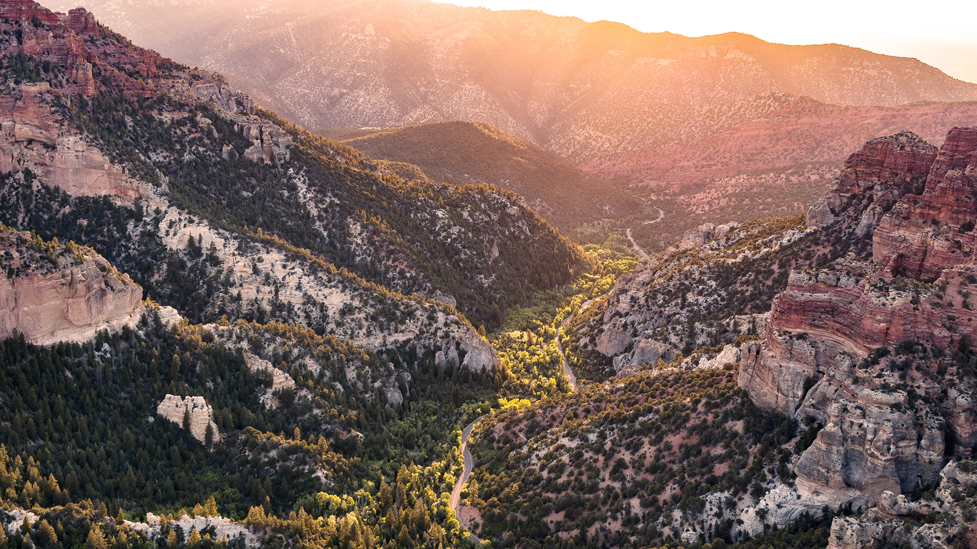 Dixie National Forest Utah Map