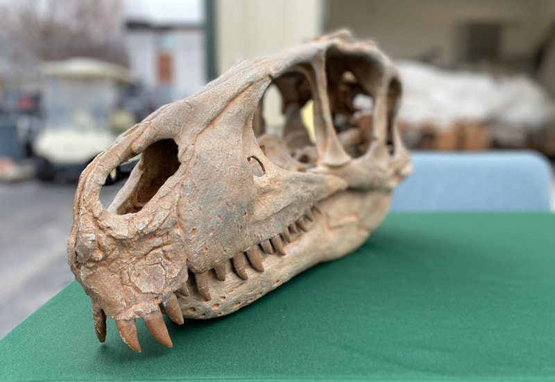 Visit The New Utahraptor State Park | Visit Utah