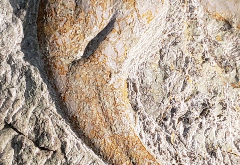 Visit The New Utahraptor State Park | Visit Utah