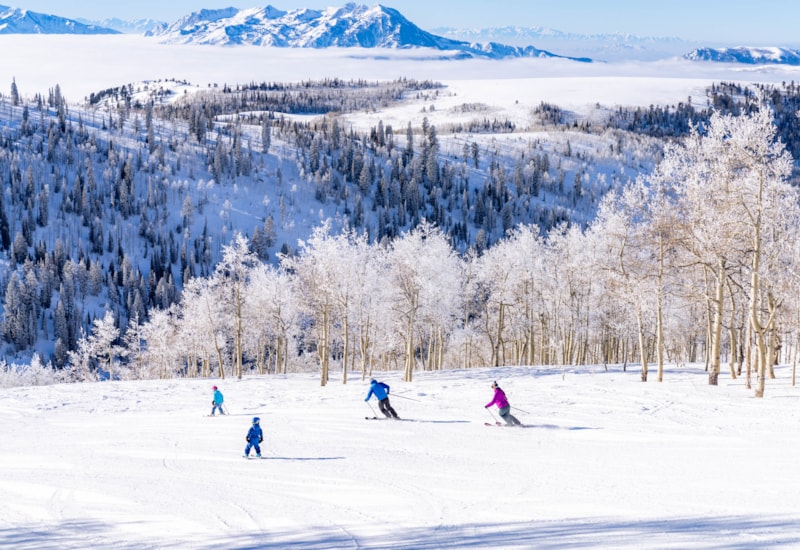 Powder Mountain [Skiing, Maps, Lodging] | Visit Utah