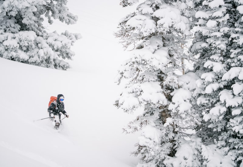 Powder Mountain | Skiing, Maps, Lodging | Visit Utah