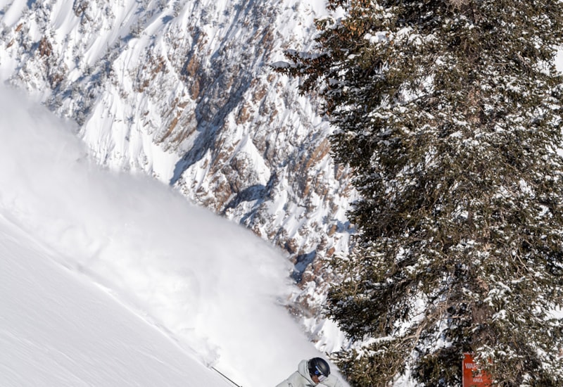 Snowbird [Skiing, Lodging, Maps] | Visit Utah