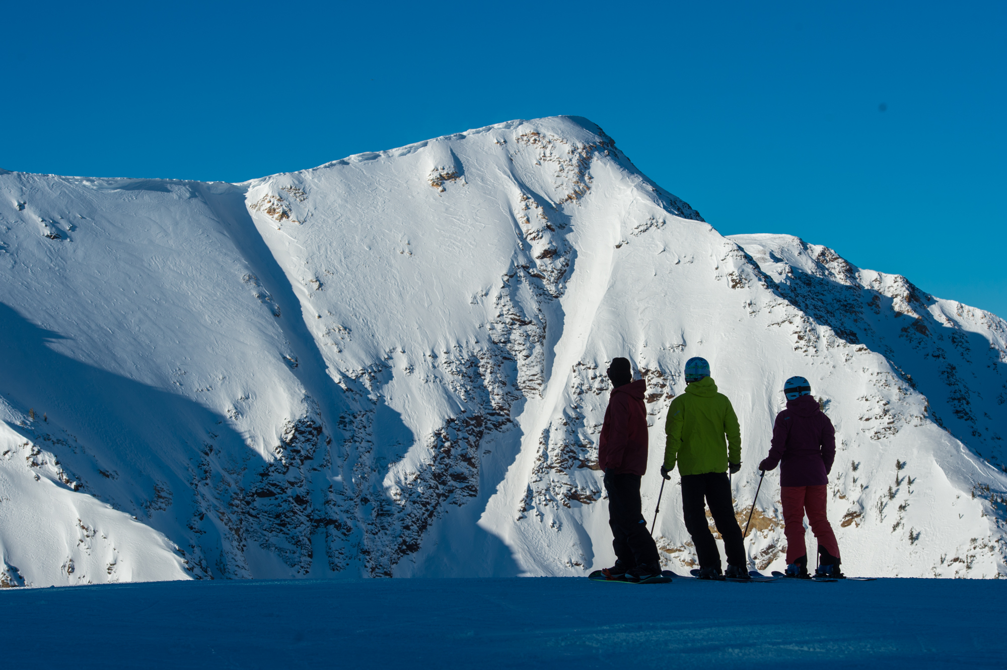Snowbird Ski Resort [Skiing, Dining, Resorts] | Visit Utah