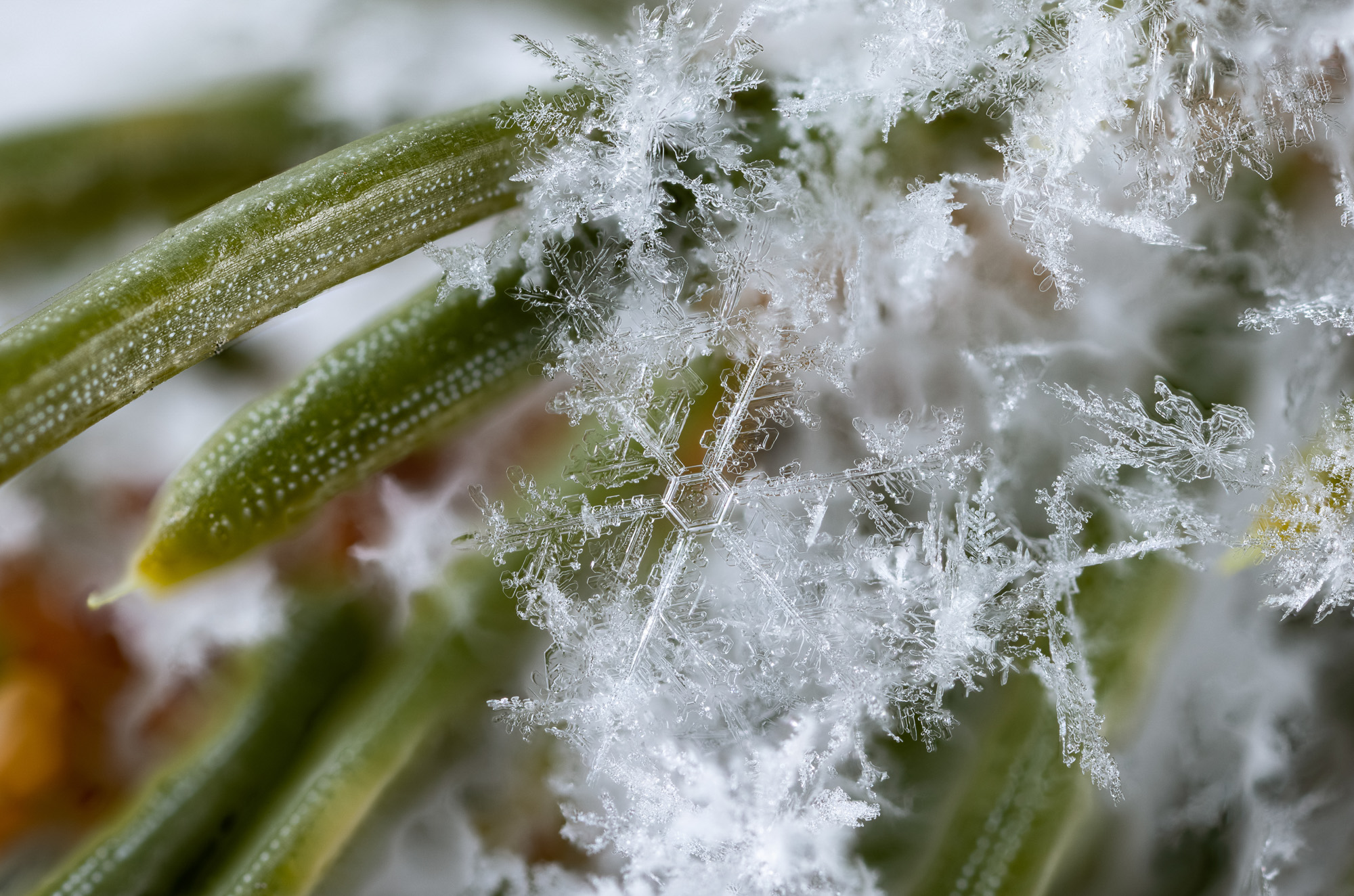 Winter Magic, Magnified | Visit Utah