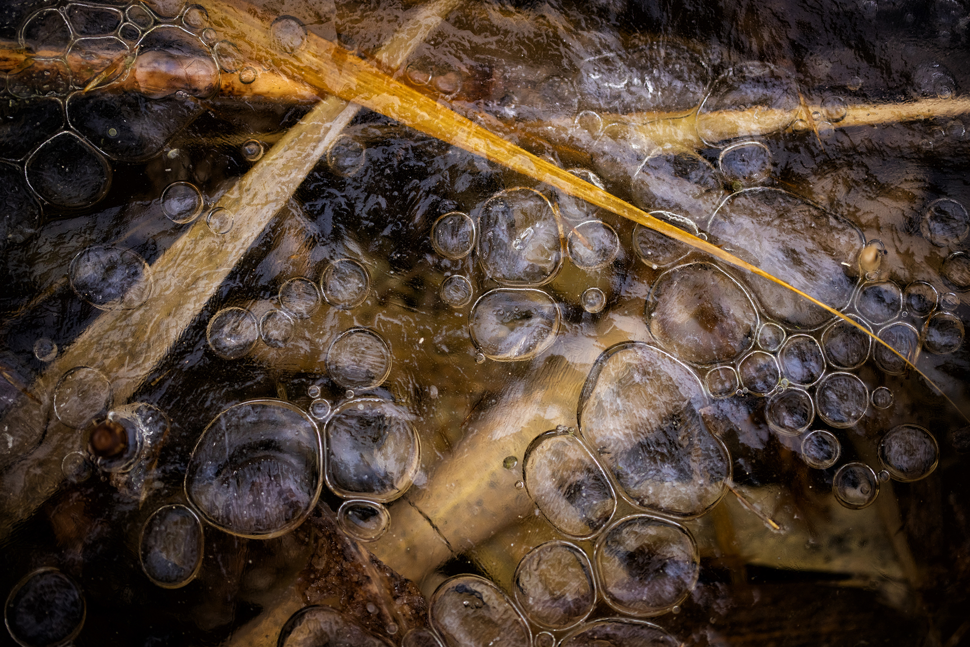 Winter Magic, Magnified | Visit Utah