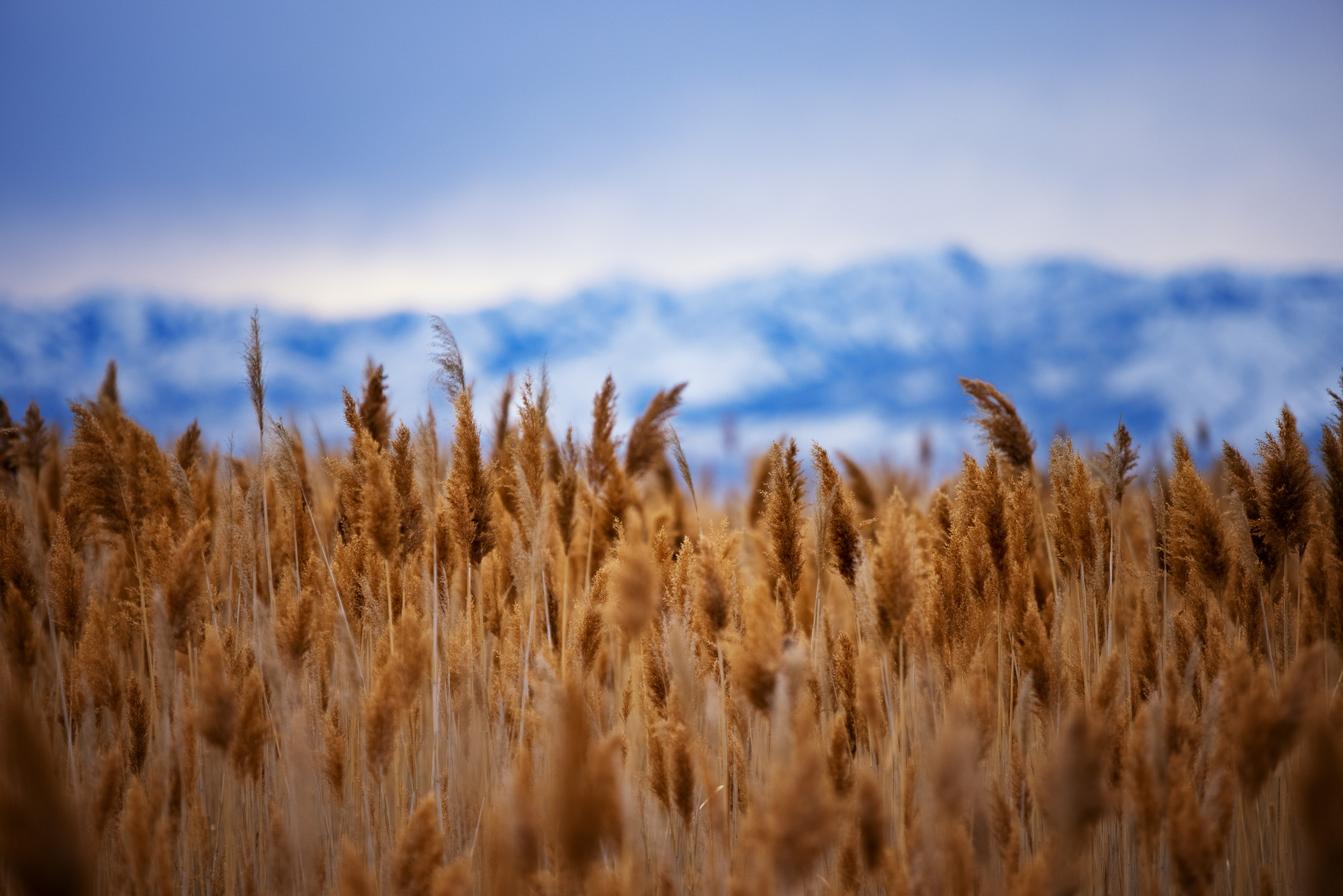 Winter Magic, Magnified | Visit Utah