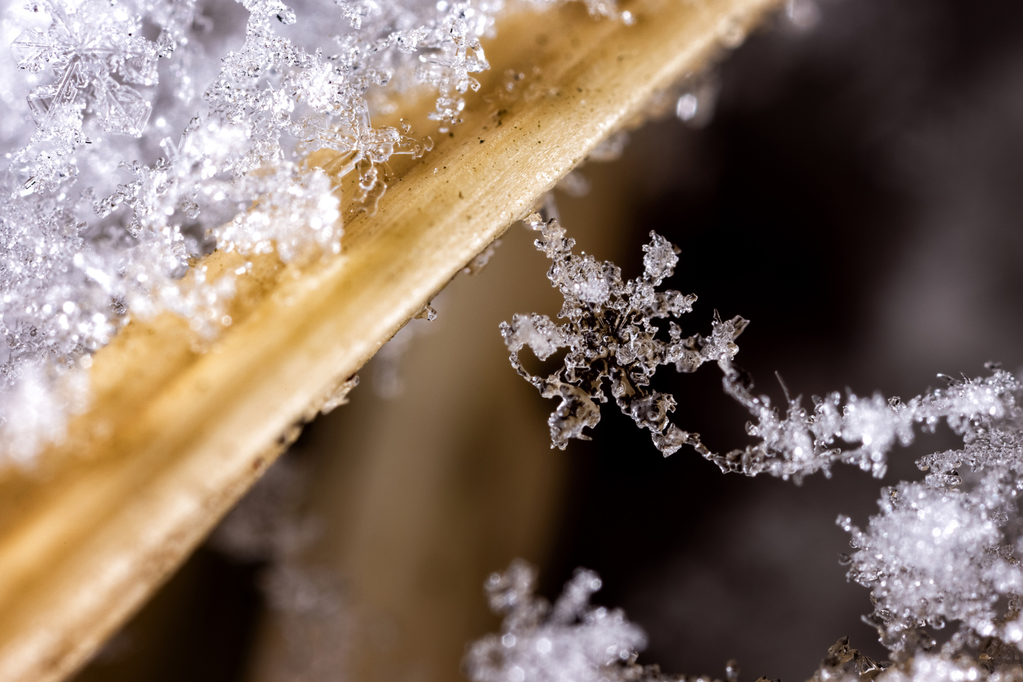 Winter Magic, Magnified | Visit Utah
